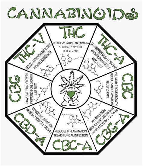 Cannabinoids In Weed Chart Hd Png Download Kindpng