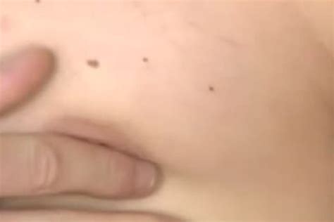 Bfs Gay Porn Videos At Babe Tube