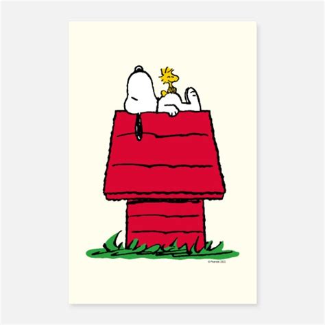 Snoopy On Doghouse Sleeping