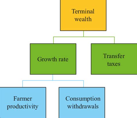 Key Drivers Of Terminal Wealth And Their Interconnectivities