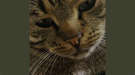 Hiddem Sound System Youtube