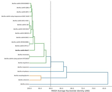 Figure 1 From Complete Genome Sequence Analysis Of Bacillus Subtilis Bbv57 A Promising