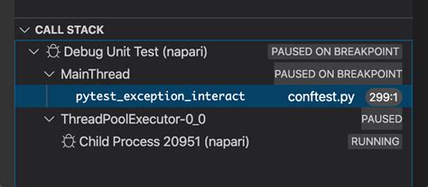 Visual Studio Code How Can I Get Pytest To Not Catch Exceptions Stack Overflow
