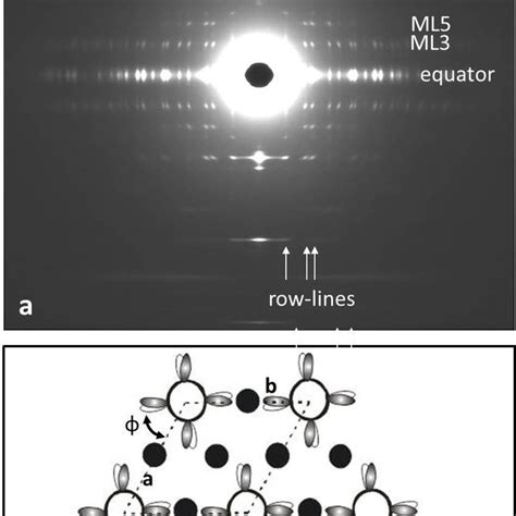 Comparison Of The Observed Low Angle X Ray Diffraction Pattern A From Download Scientific