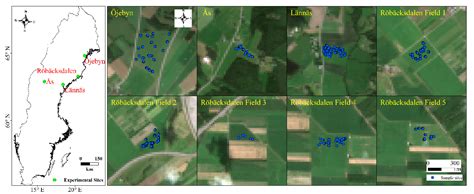 Remote Sensing Free Full Text Forage Biomass Estimation Using