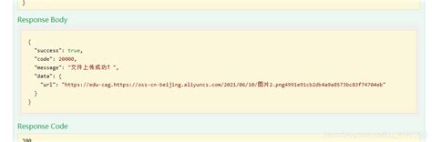 阿里云代理上传文件报错com aliyun oss [client]unable to execute request