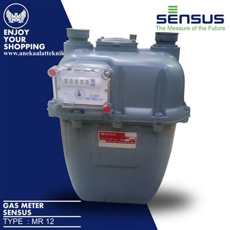 Flow Meter Gas Sensus CV ANEKA ALAT TEKNIK