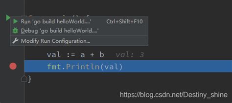 如何通过goland进行debuggoland Debug Csdn博客
