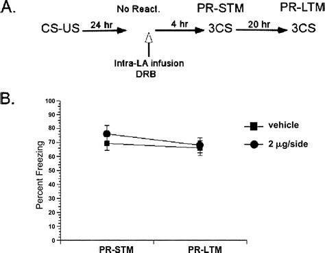 De Novo Mrna Synthesis Is Required For Both Consolidation And Reconsolidation Of Fear Memories