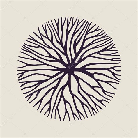 Concept Tree Branch Circle Shape Illustration Stock Vector Image By