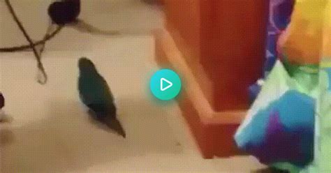 Physics Affects All  On Imgur