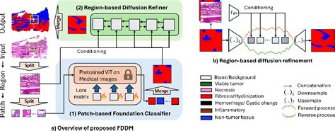 Bridging Classification And Segmentation In Osteosarcoma Assessment Via