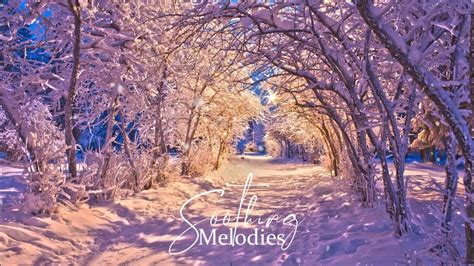 부드러운 눈 내리는 날 가을 한 가운데 겨울을 기다리는 황금빛 햇살 Youtube