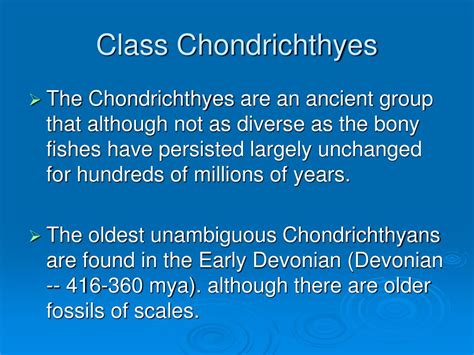 Ppt Class Chondrichthyes Cartilaginous Fishes Powerpoint Presentation Id1782979