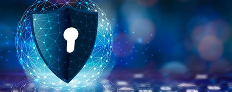 customized application security development training