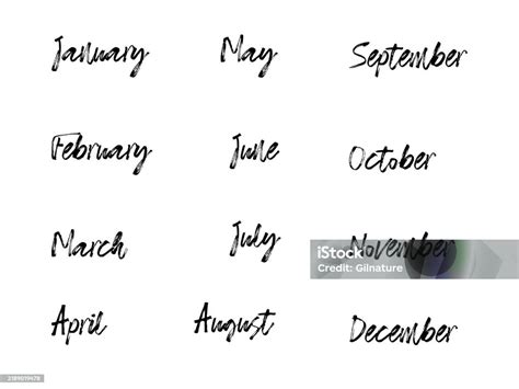 month names cursive typography set handwritten calligraphic outline
