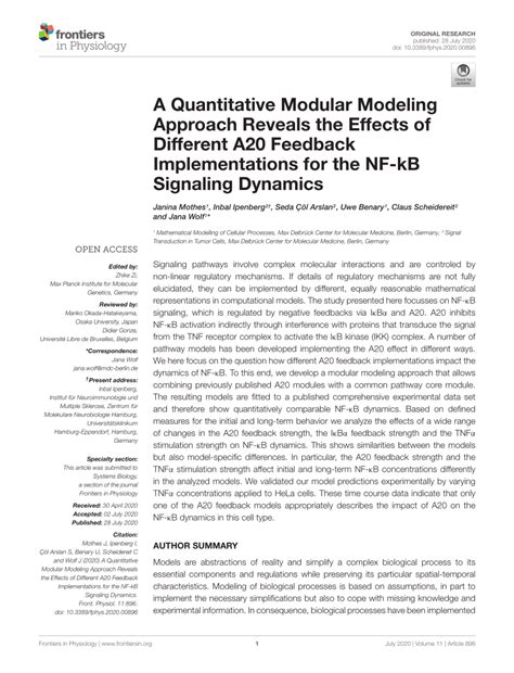 Pdf A Quantitative Modular Modeling Approach Reveals The Effects Of