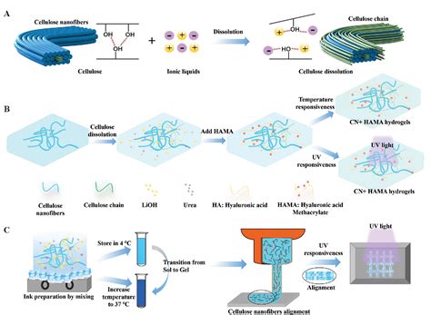 Figure From A Study On Dual Response Composite Hydrogels Based On Oriented Nanocellulose