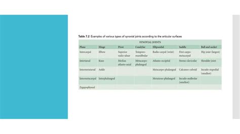 Classification Of Synovial Joints Pptx