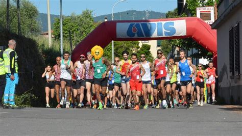 Trofeo Avis Colline Medicee Le Foto Della 12esima Edizione E La Classifica Quotidiano Sportivo