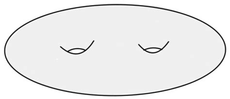 [论文审查] Introduction To Moduli Spaces And Dirac Geometry