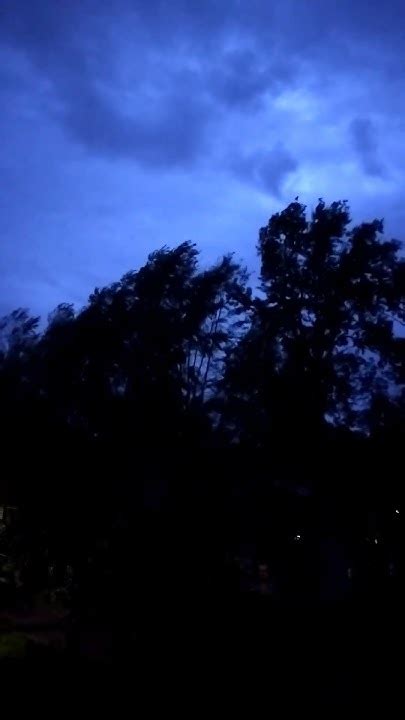 ☮️🐕 Контент по пропаганде заботы о Братьях Наших Меньших Поддержите Нас ️ Youtube