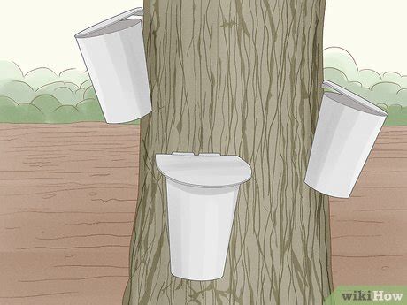 How To Make Maple Syrup At Home A Step By Step Guide