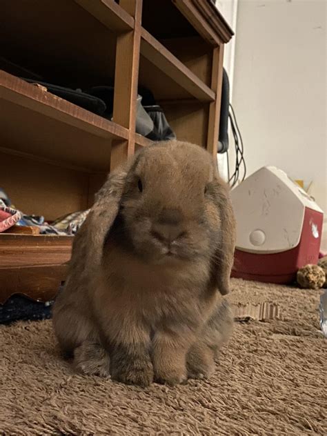 What Do You Mean The Fan Doesnt Work 🤬 Rmurderbuns