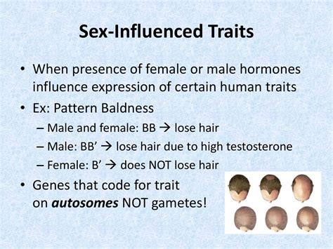 Chapter 12 Inheritance Patterns And Human Genetics Ppt Download