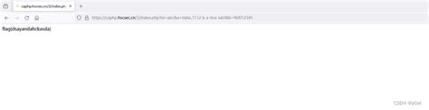 code audit 代码审计 习题记录 code audithscsec csdn博客