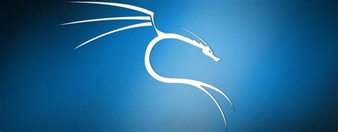 How To Install Kali Live On A Usb Drive With Persistence Optional