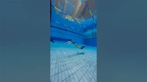 다이나믹 돌핀킥 🐬 다이빙 취미 취미생활 프리다이빙 Freediving 프리다이버 Padi Youtube