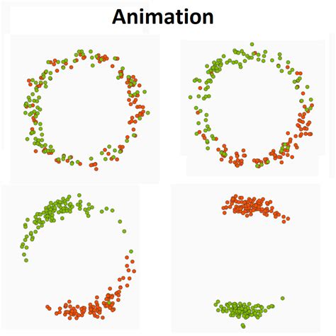 Synchronization In The Body Clock The Network Pages