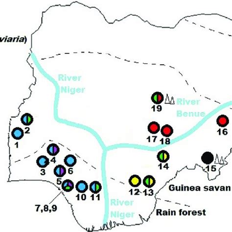 Geographic Distribution Of Crocidura Species And Lineages Resolved In Download Scientific