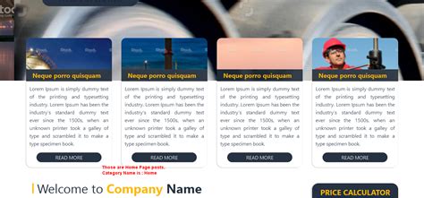 Wordpress Display All The Posts Except Selected Post By Category Wise