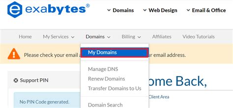 update domain nameservers via client area global