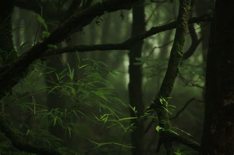 Hypothesis Testing For A Single Proportion Archives Statistics