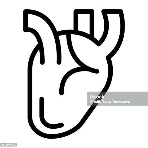 심장 라인 아이콘 의료 개념 흰색 배경에 인간 장기 기호 개요 스타일의 모바일 개념 웹 디자인에 현실적인 의료 심장 아이콘 벡터 그래픽 0명에 대한 스톡 벡터 아트 및 기타