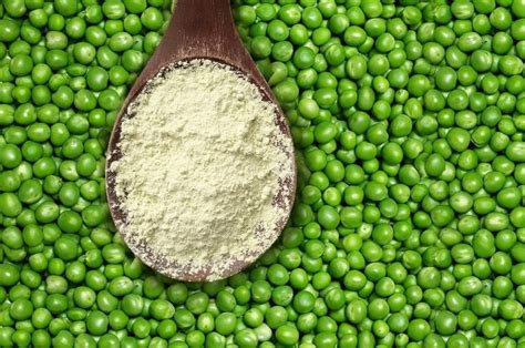 Гороховый протеин: состав, польза, побочные эффекты | Питание и наука