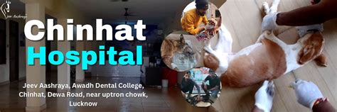 Jeevaashraya Chinhat Hospital