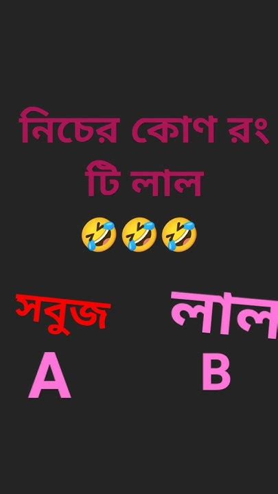 4 February 2025 Youtube