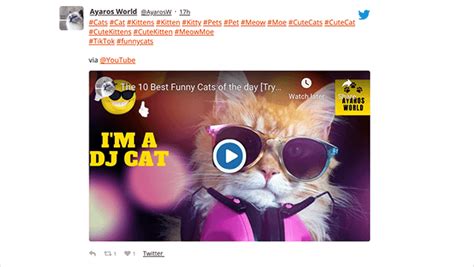 How To Add A Custom Twitter Feed To Your Website Best Way