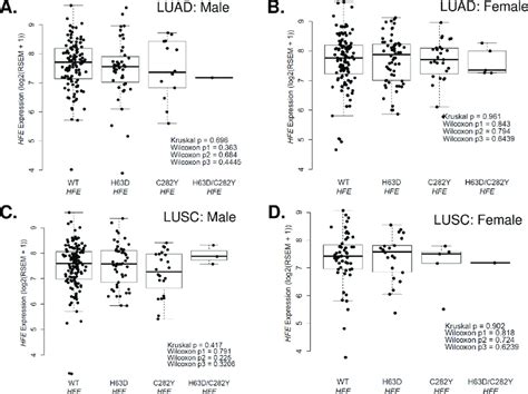 Association Between Hfe Expression And Hfe Genotype Or Sex In Tcga Lung