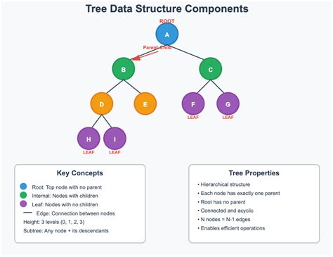 Applications Of Tree Data Structures And Trie Trees By Soseh