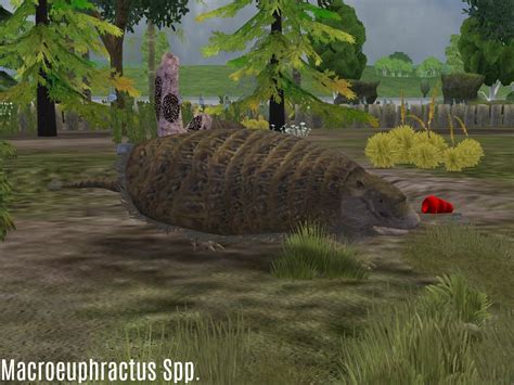 Zt2 Showcase Macroeuphractus By Profdanb On Deviantart