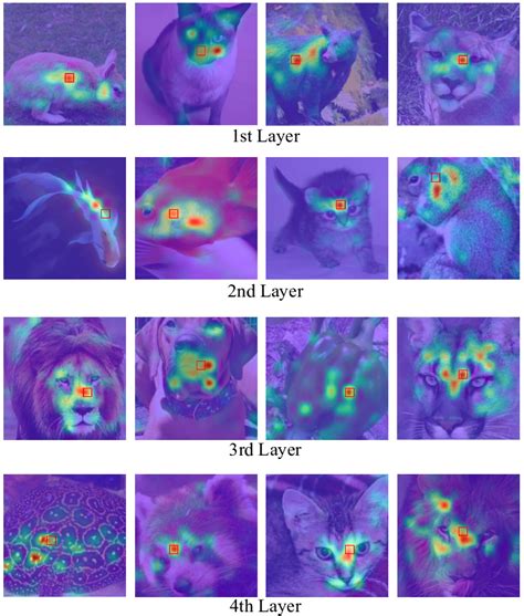 More Visualization Of Attention Maps Of Shallow Layers Of Vit Small We Download Scientific