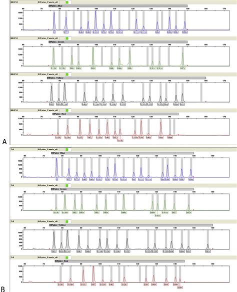 A Validation Study Of A Multiplex Indel Assay For Forensic Use In Four