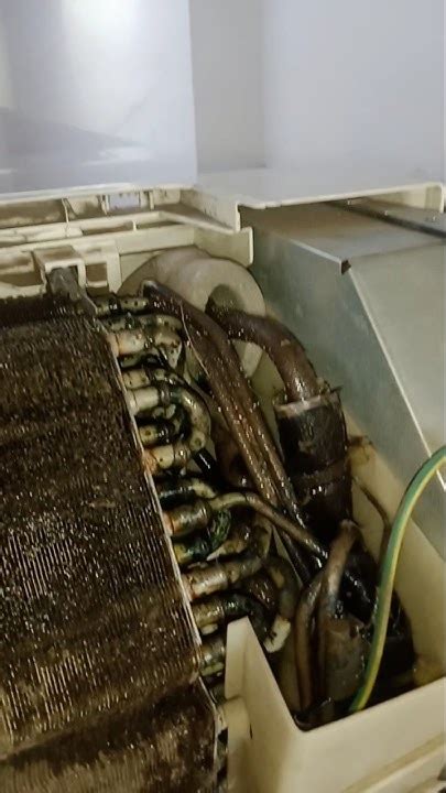 Ashraf 2 Sal Se Koi Service Nahireal Viralreels Milian Minivlog Youtube