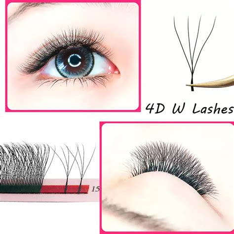 W Lashes 4d Lash Extensions