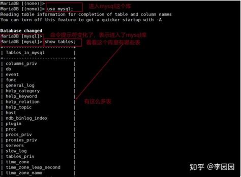 Linux学习笔记(十四):使用lamp架构部署一个动态网站 知乎 Linux学习笔记(十四):使用lamp架构部署一个动态网站 知乎